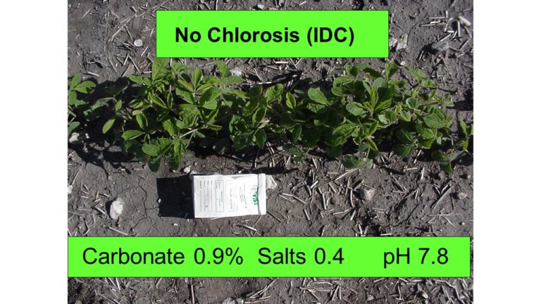 No IDC - Agvise Laboratories