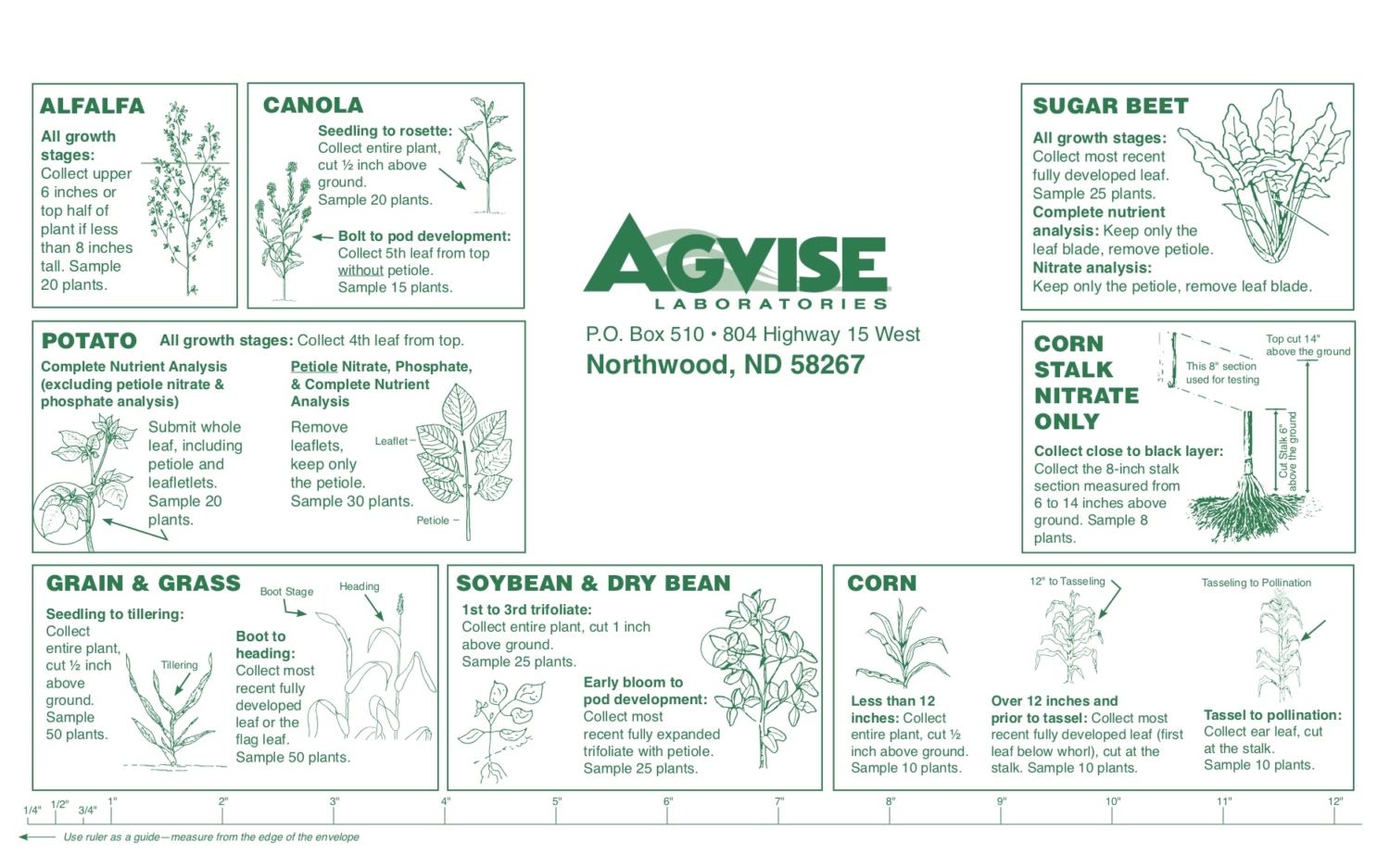 Plant Sampling Basics – Sampling, storing, and shipping plant samples ...
