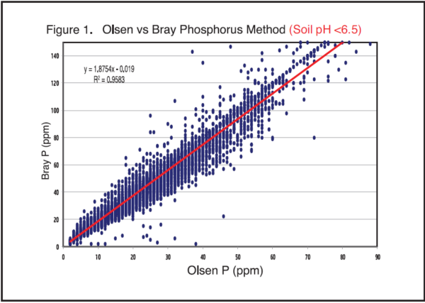 Choosing the Right Phosphorus Method - Agvise Laboratories