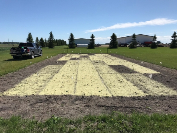 AGVISE Demonstration Project: Lowering Soil pH with Elemental Sulfur ...